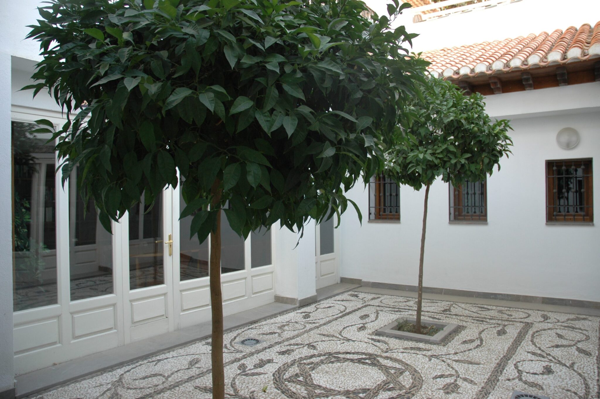 ¿Qué es el Zakat? – Mezquita de Granada